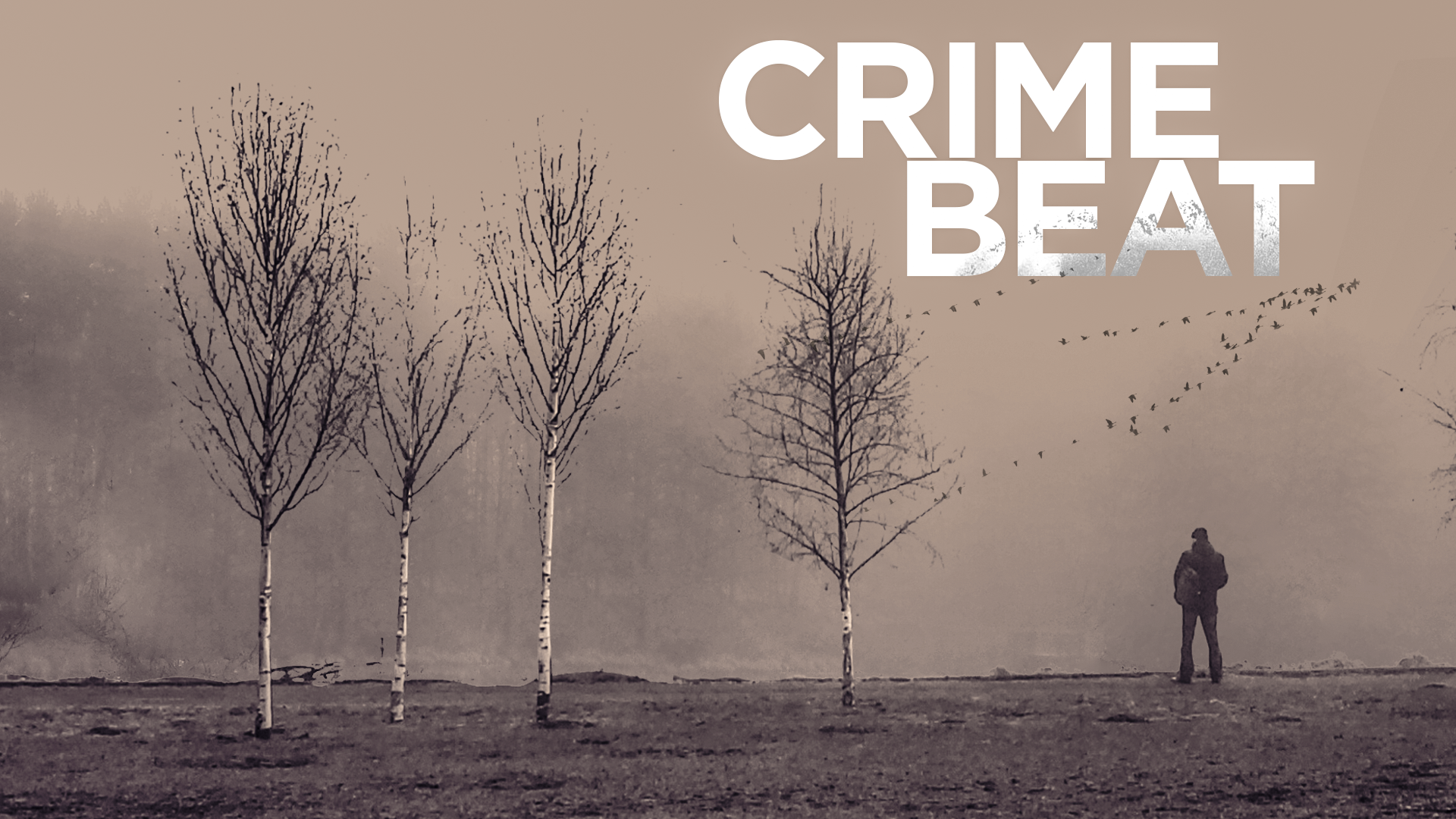 Free full episodes of Crime Beat on GlobalTV.com | Cast photos, gossip ...
