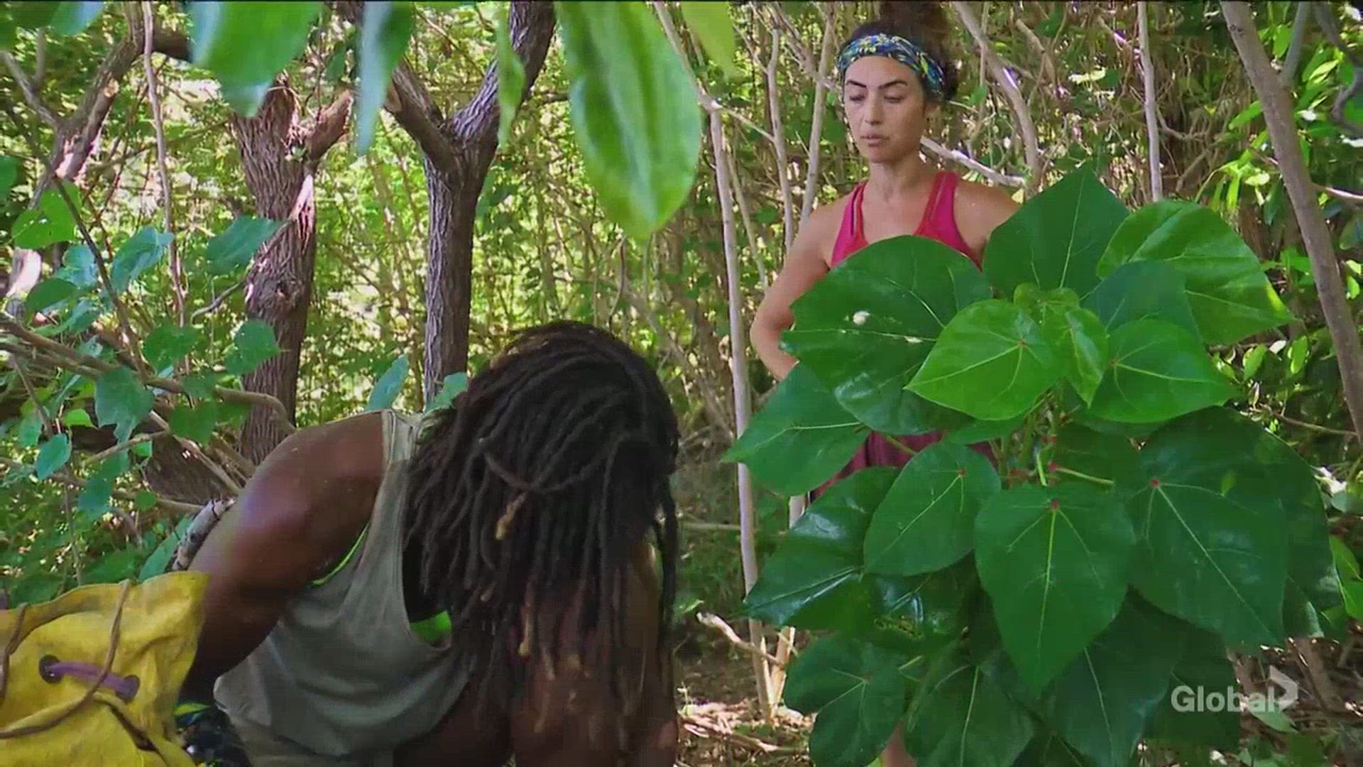 Free full episodes of Survivor on GlobalTV.com | Cast photos, gossip ...