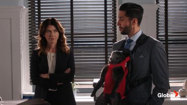 Free full episodes of Family Law on GlobalTV.com | Cast photos, gossip ...