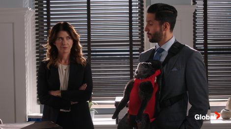 Free full episodes of Family Law on GlobalTV.com | Cast photos, gossip ...
